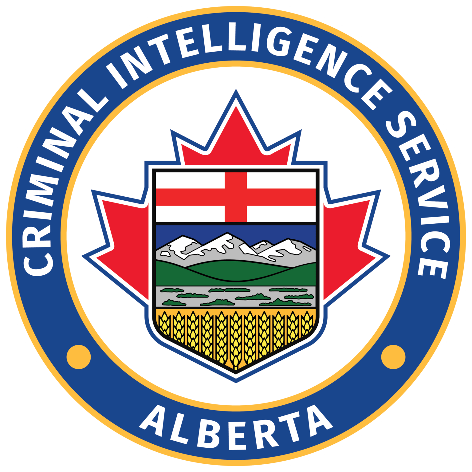 Organized Crime/Gangs - ALERT